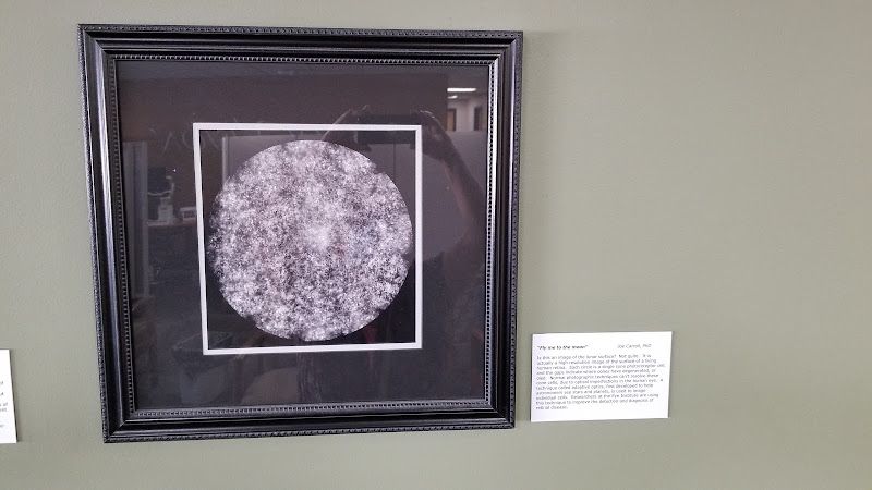 Froedtert Eye Institute, 925 N 87th St, Milwaukee, Wisconsin | My ...